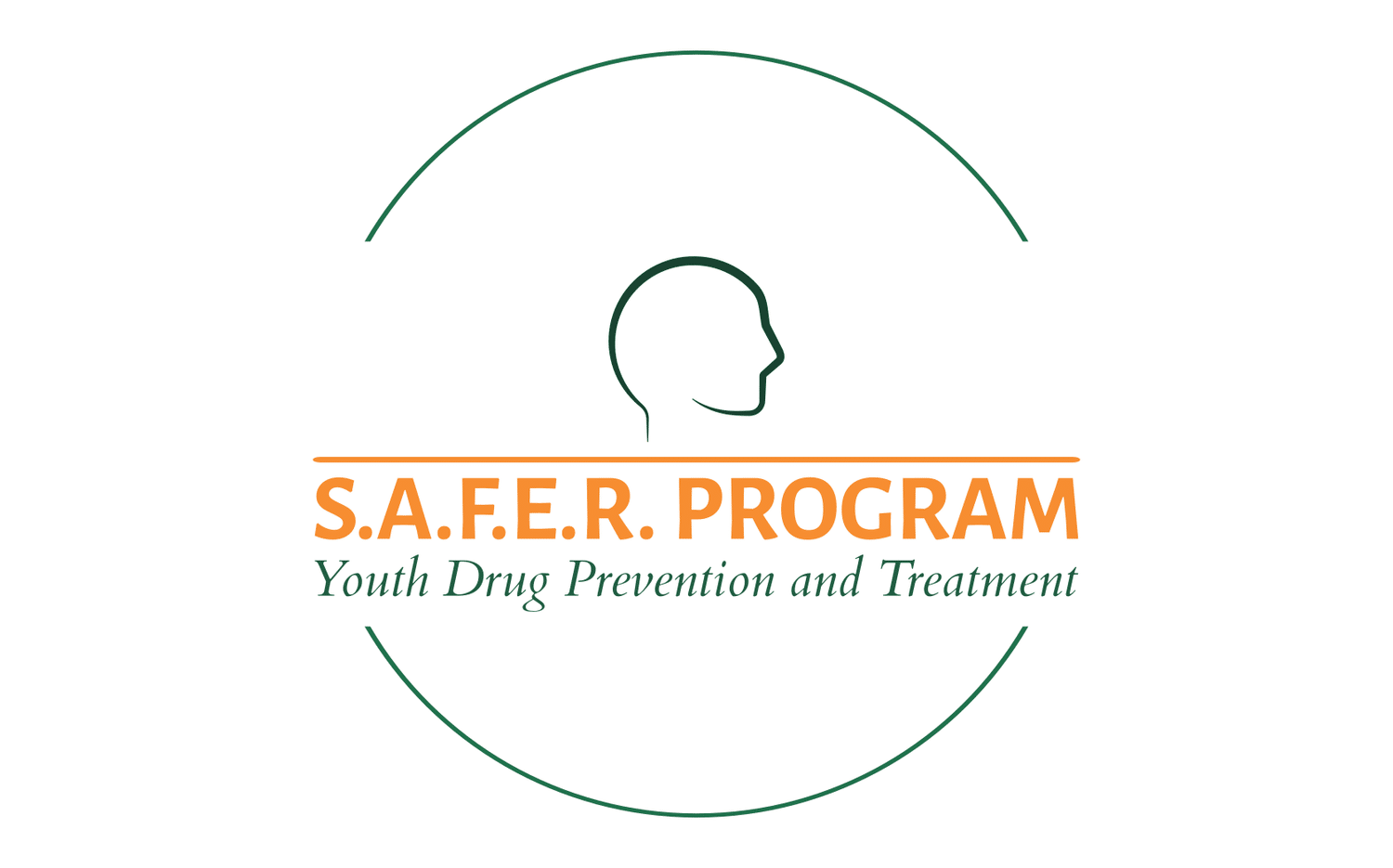 SAFER - Services for Adolescent and Family Empowered Recovery | Annie ...